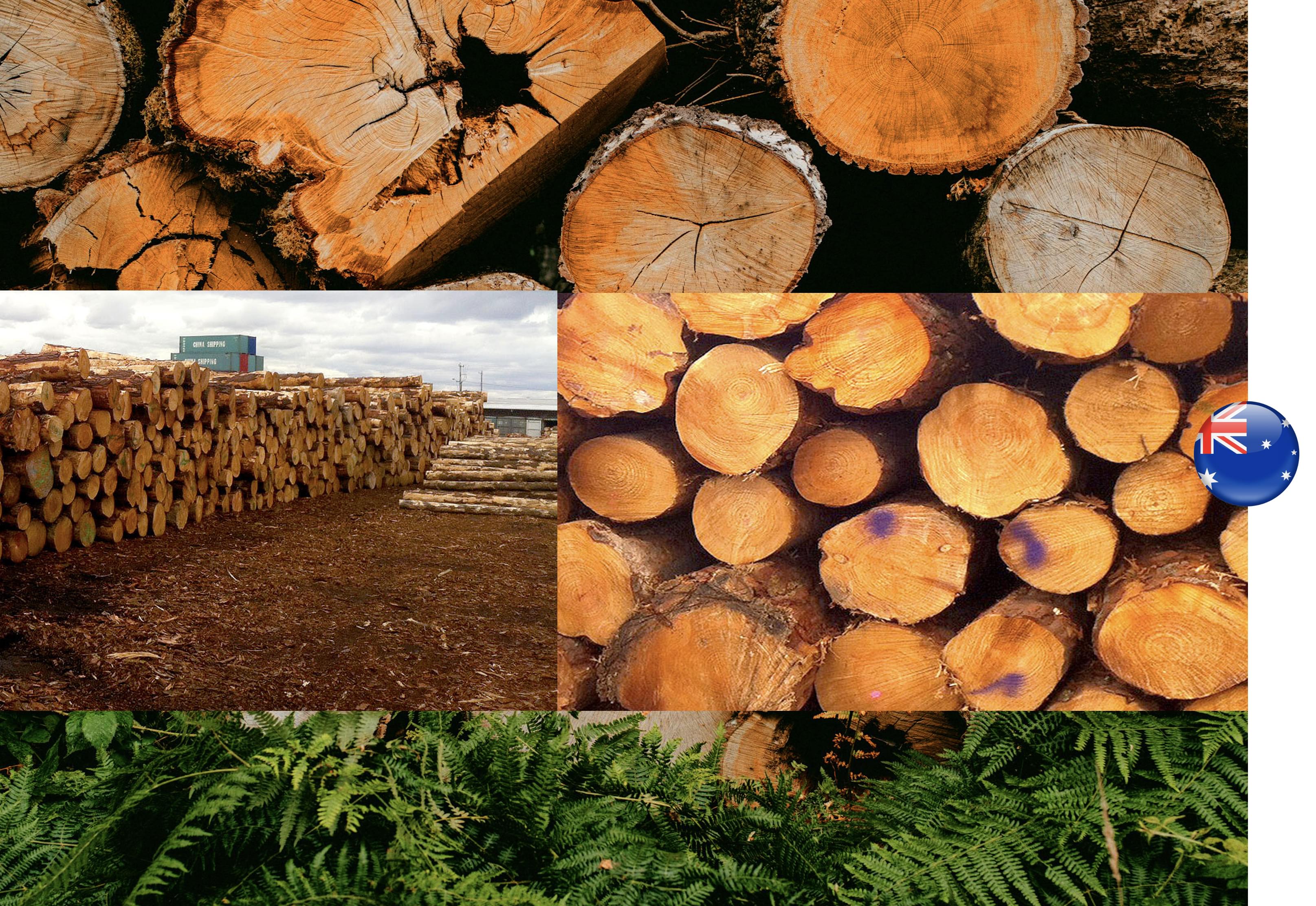 Looop - Other Ventures